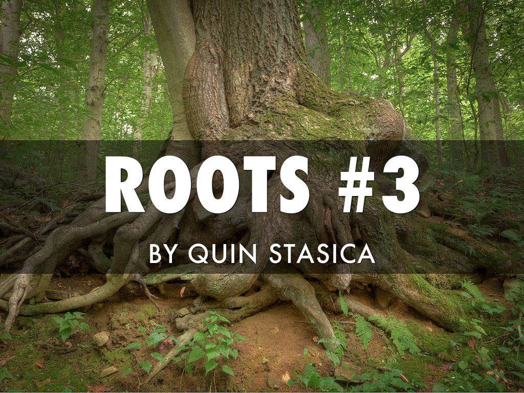 Third Root Words By Quin Stasica third-root-words-by-quin-stasica